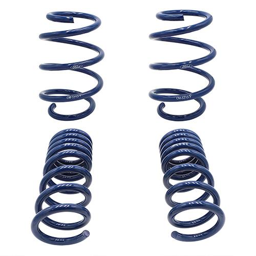 RTR Performance Lowering Springs (18-23 GT) - Motorsport and Performance