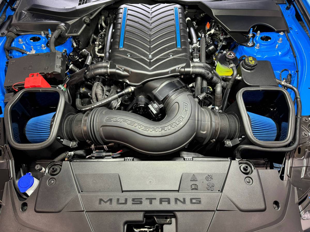 Whipple Superchargers 2024 S650 Mustang Open Air Box Kit - Motorsport ...